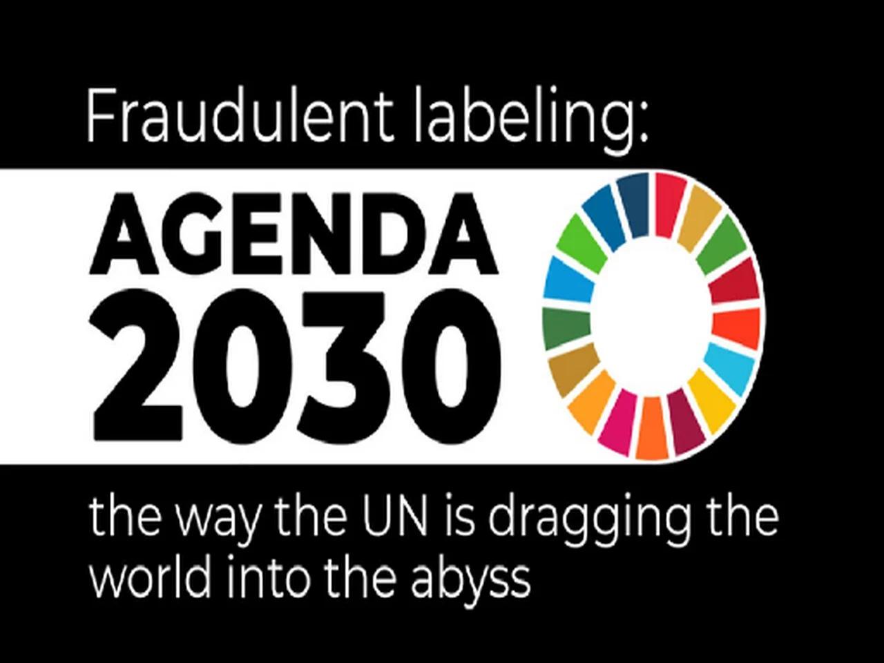 🇺🇳 UN AGENDA 2030 TRANSLATED !!! The Way the UN is Dragging the World ...