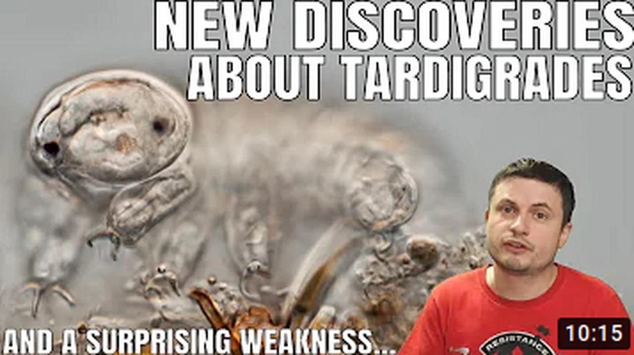 Tardigrades - Interesting Facts About them, Strengths, weaknesses ...