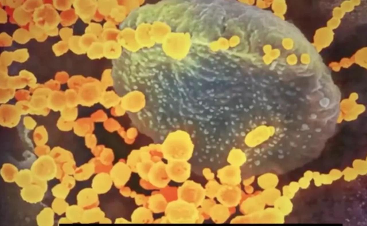 Virus Theory Vs Exosomes Theory