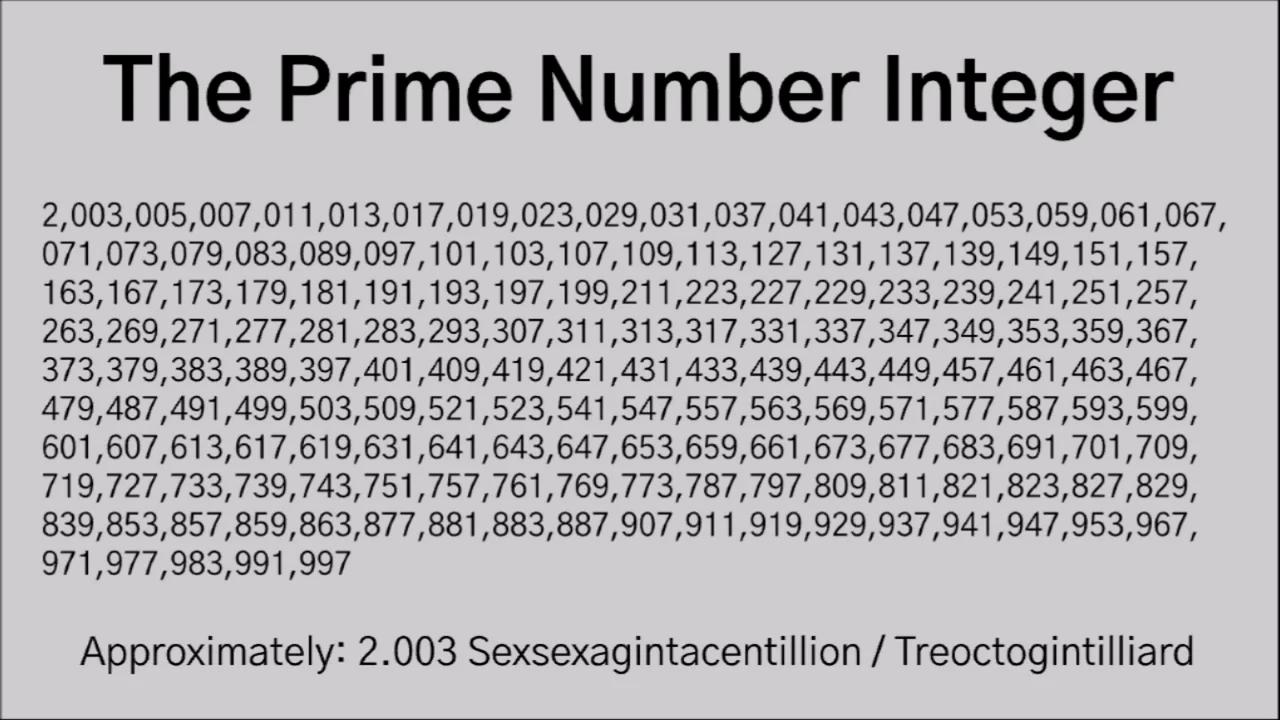 The Prime Number Integer
