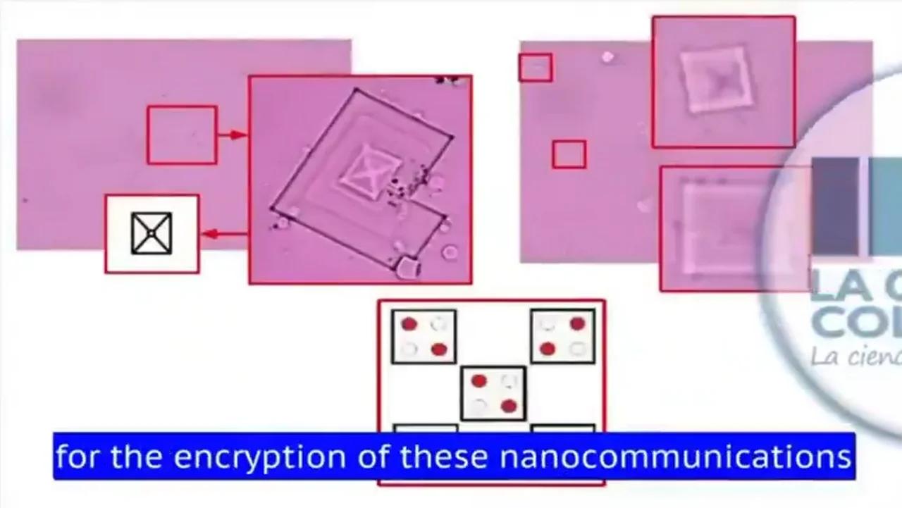 Intra-Body Nano-Network - "We are facing the disappearance of the human ...