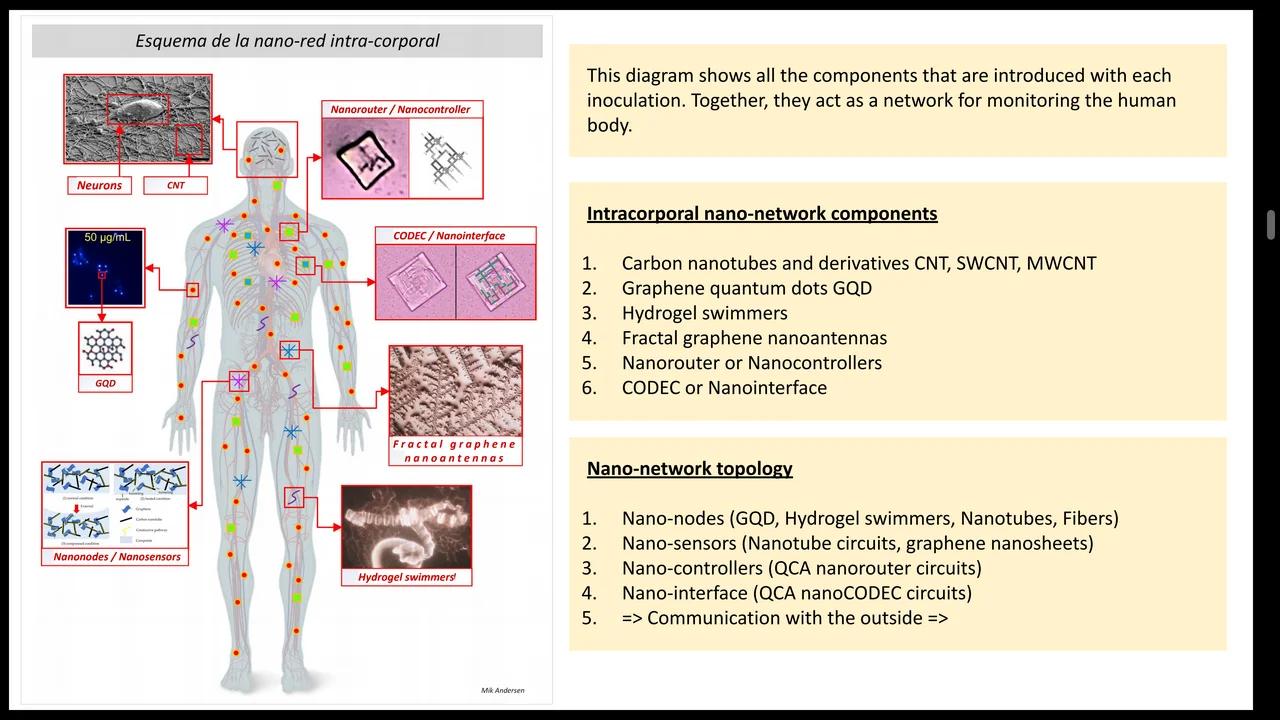 The Intra-Body Nano-Network. By Mik Andersen [PDF]
