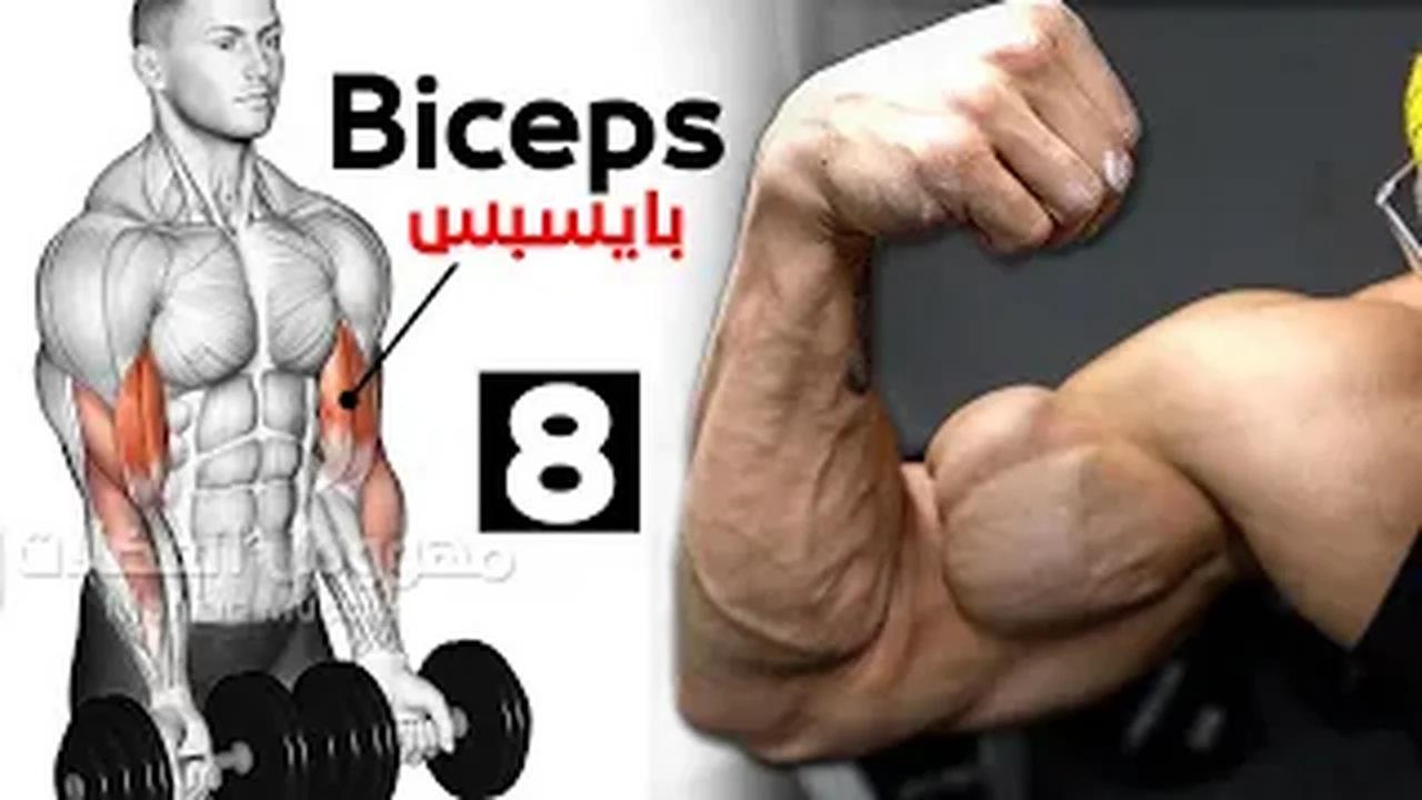 How To Build Your Biceps Fast (8 Effective Exercises)