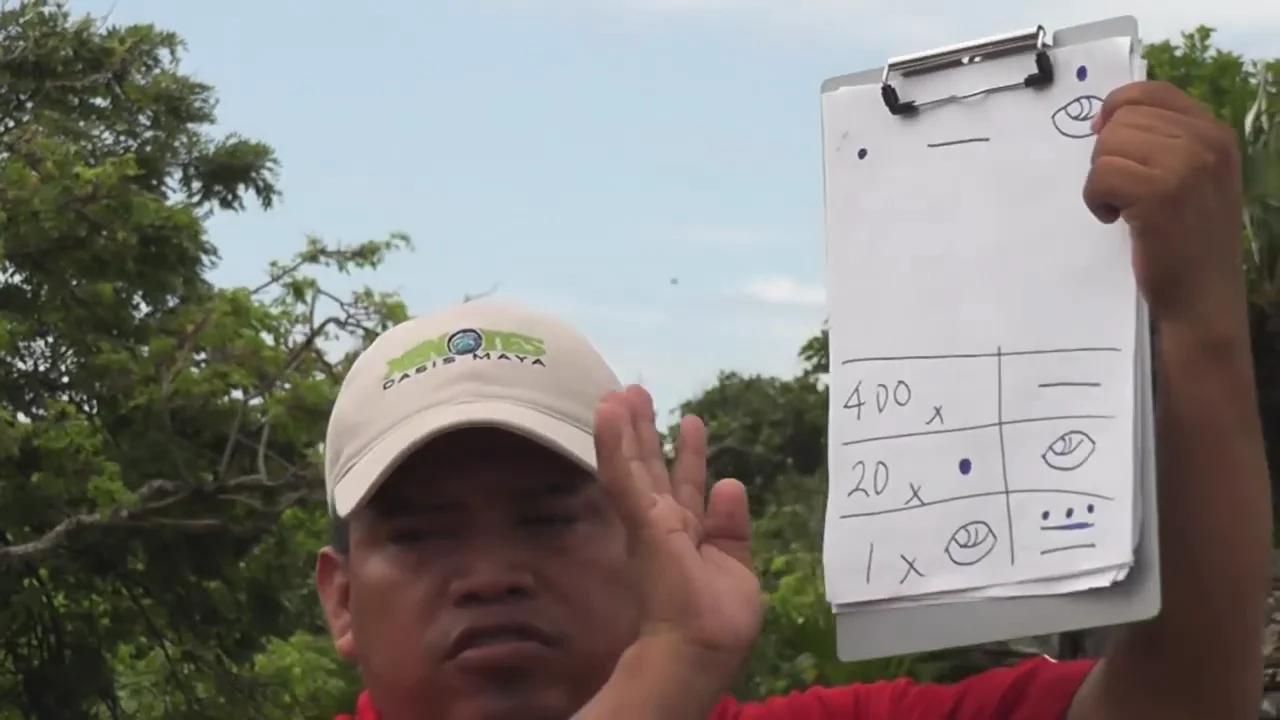 SENCILLA EXPLICACIÓN DEL SISTEMA DE NUMERACIÓN VIGESIMAL MAYA EN TULUM ...