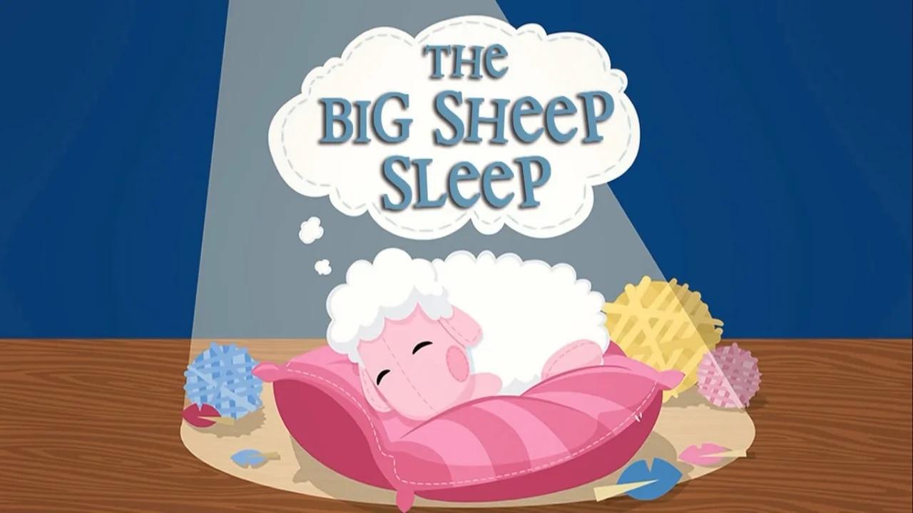 The Big Sheep Sleep