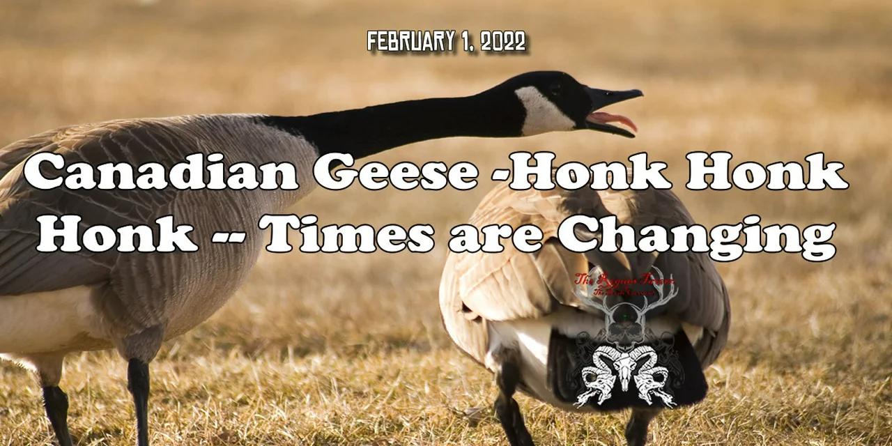 Canadian Geese -Honk Honk Honk -- Times are Changing