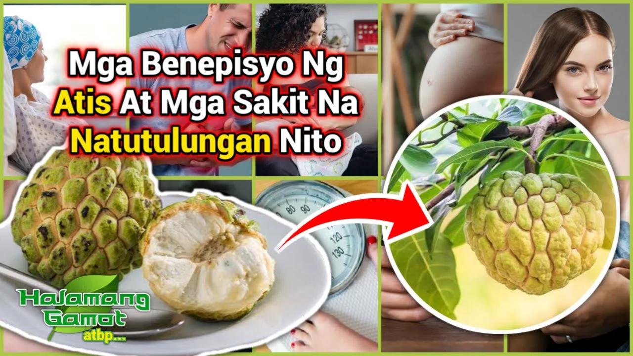 Mga Benepisyo Ng Atis At Mga Sakit Na Natutulungan Nito | Halamang ...