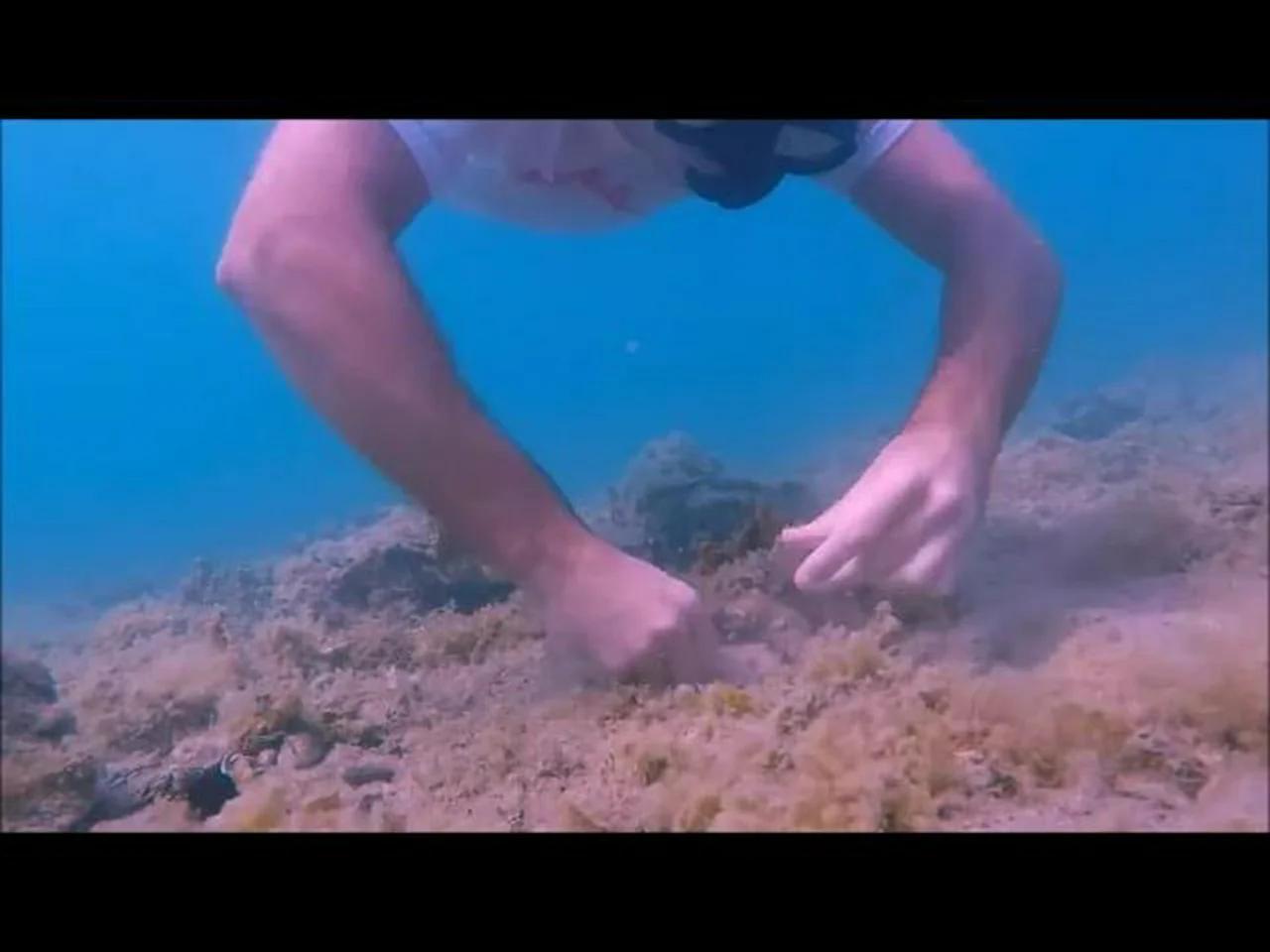 Catching a BOBBIT WORM clip