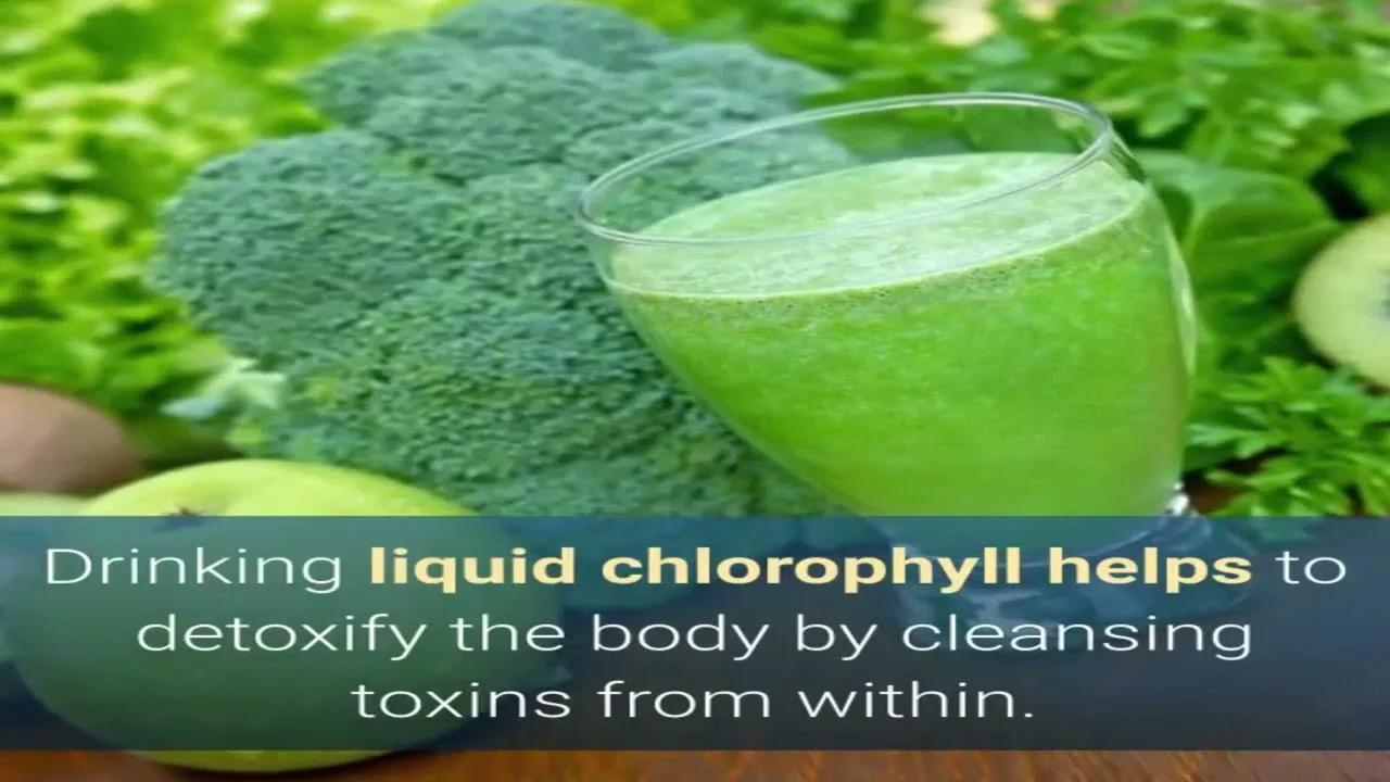 Top 10 Health Benefits of Chlorophyll