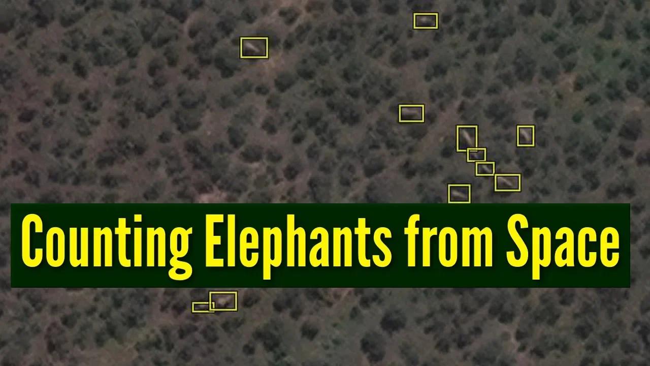 Scientists count elephants from space with satellites and deep learning