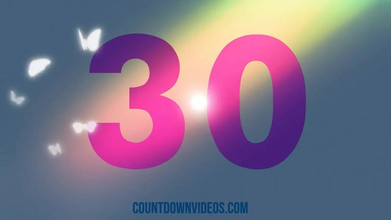 30 second countdown timer [no sound]