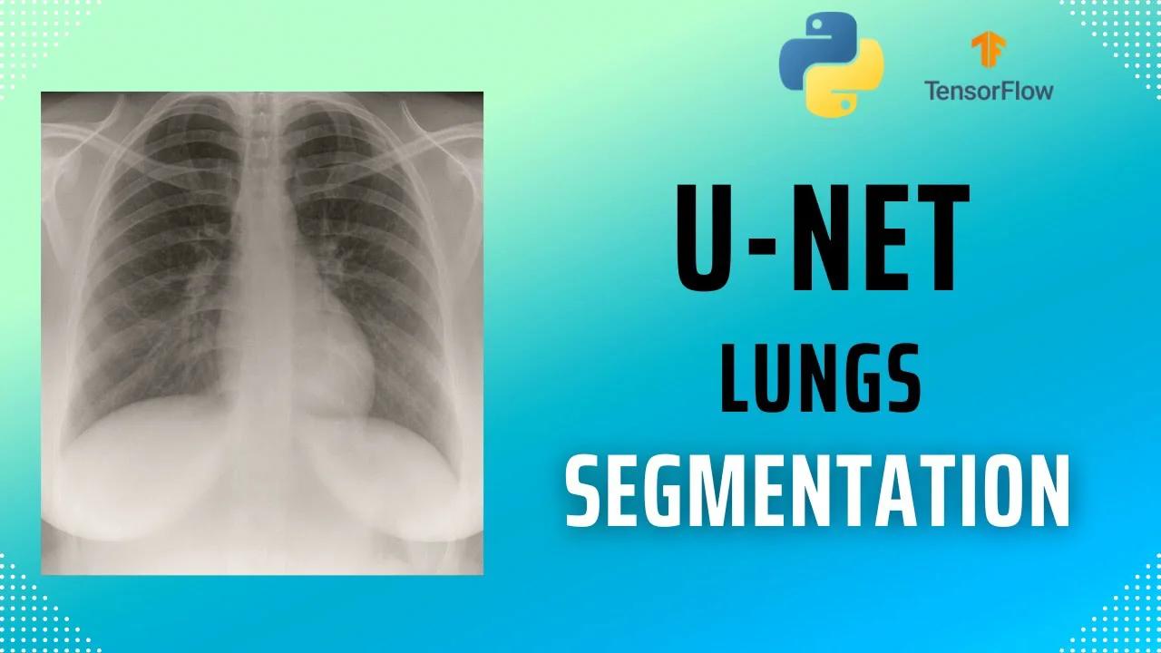Easy Lung X Ray Segmentation With U Net Step By Step Tutorial
