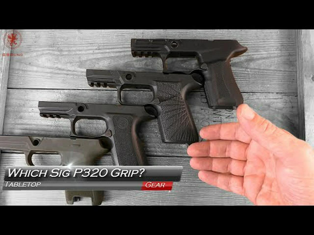 Which Sig Grip Module