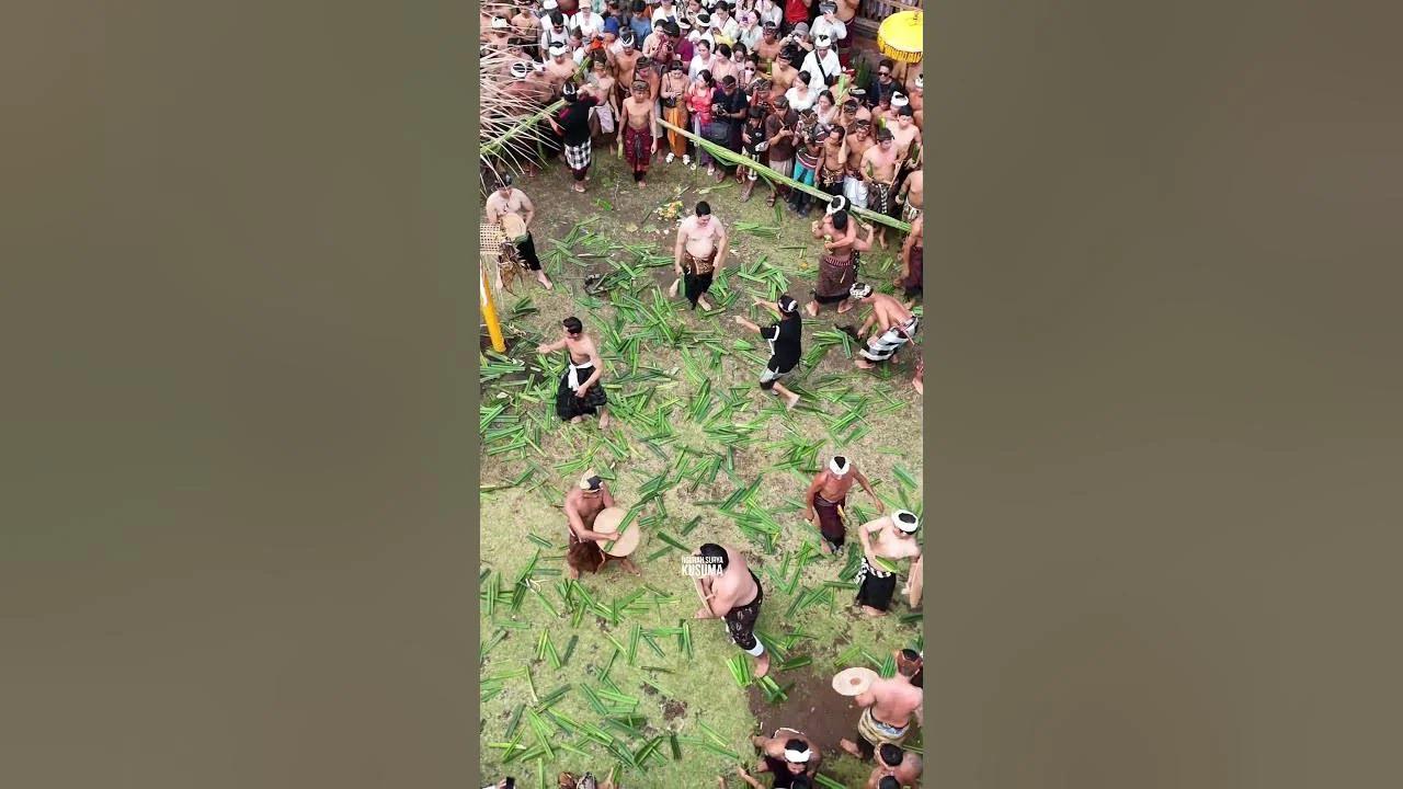 Perang Pandan Tenganan Dauh Tukad #PerangPandan #MekareKare # ...