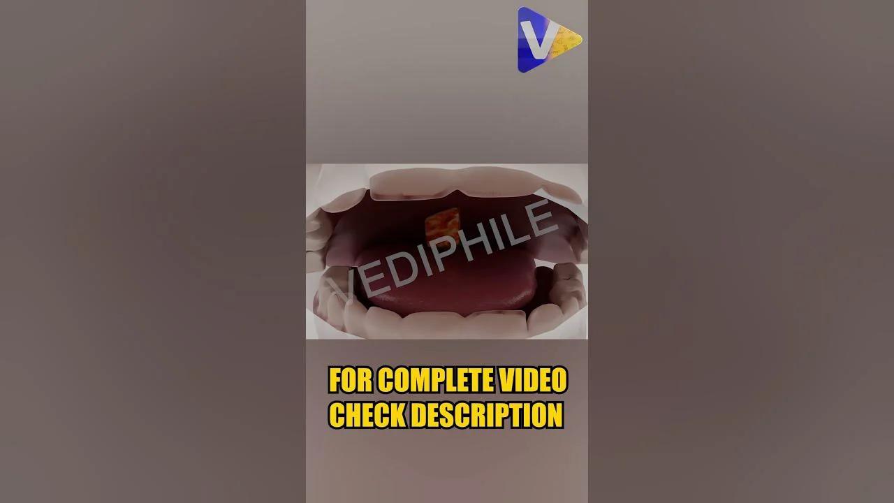 NCERT Class 6 Science Chapter 1 | Activity 1 in 3 D | Science in 3D ...