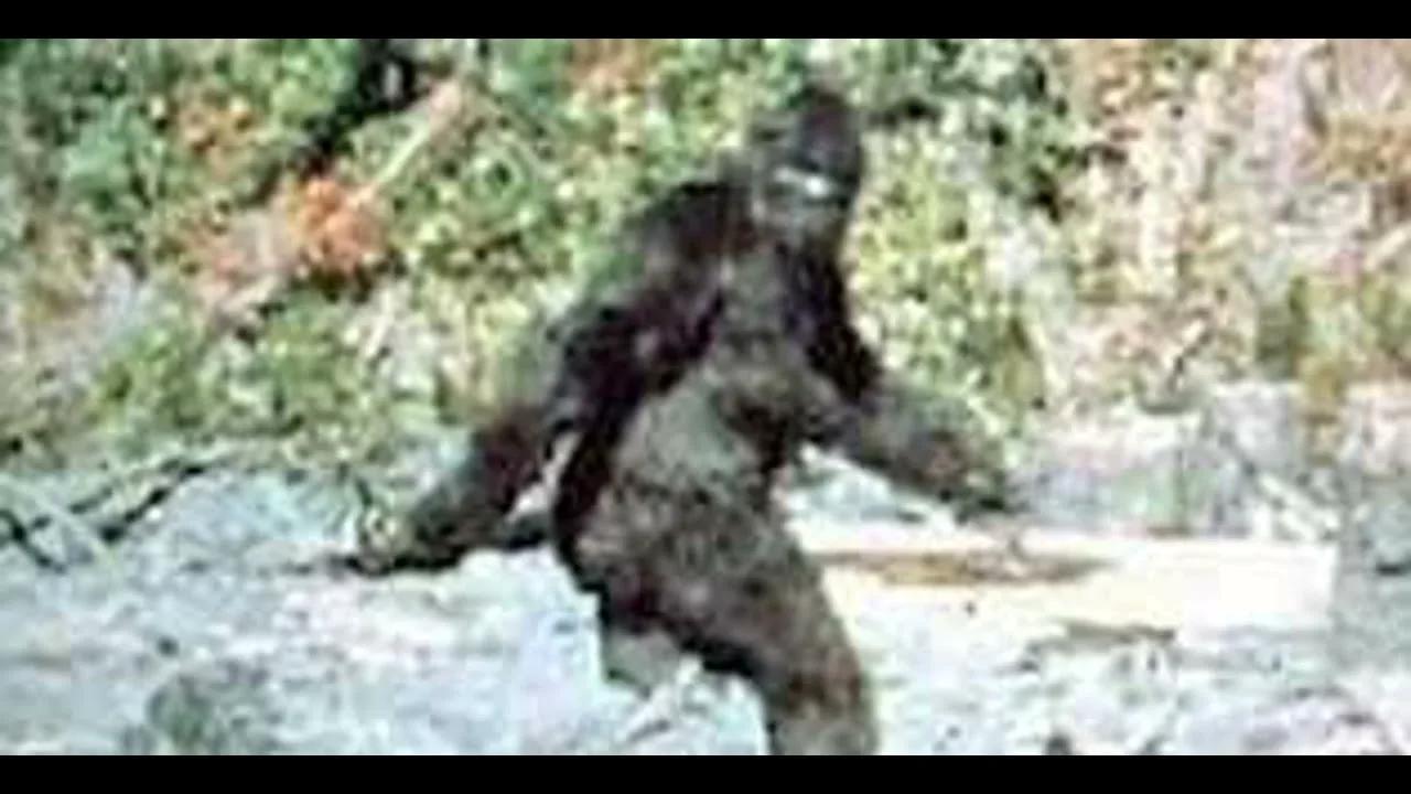 Stan Gordon: Cryptids & UFOs