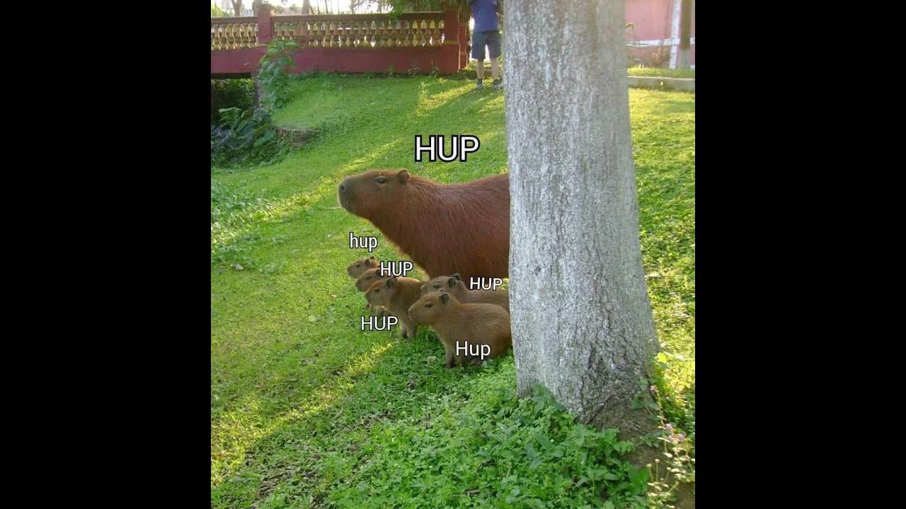 Common stock GSA vehicle with Fraudulent plates, elucidates.