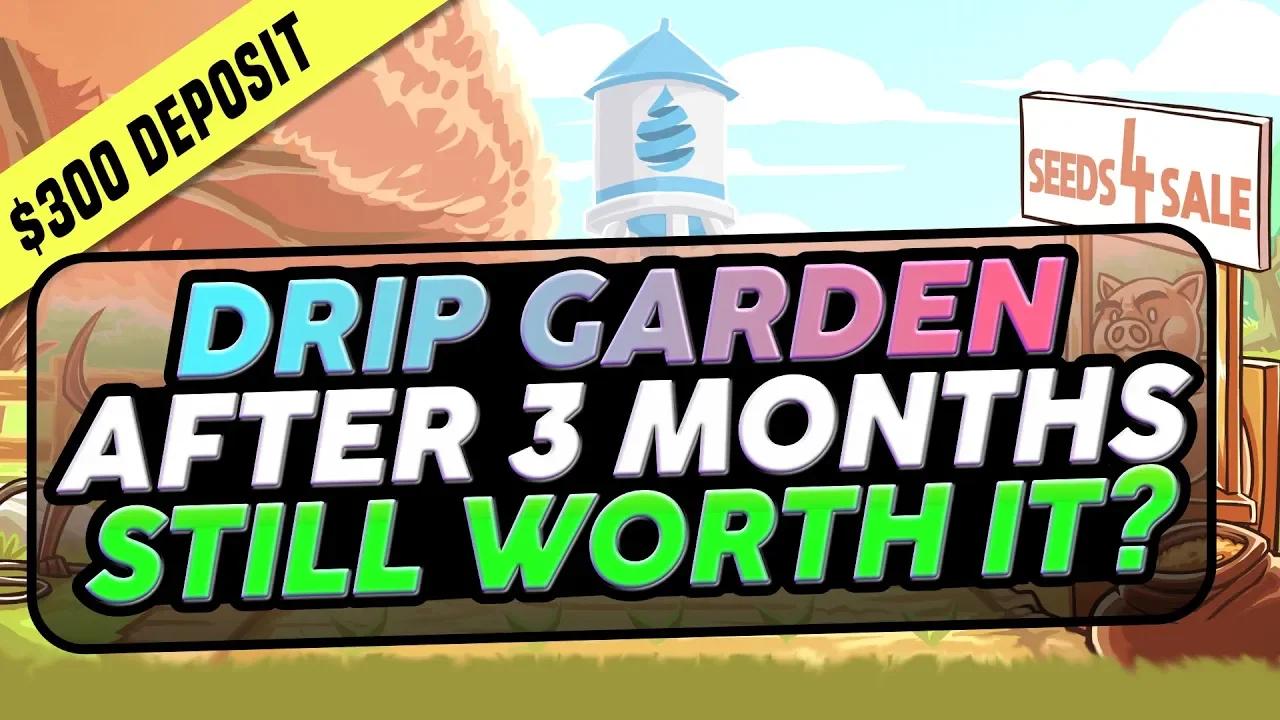 Drip Garden After 3 months Still Worth it