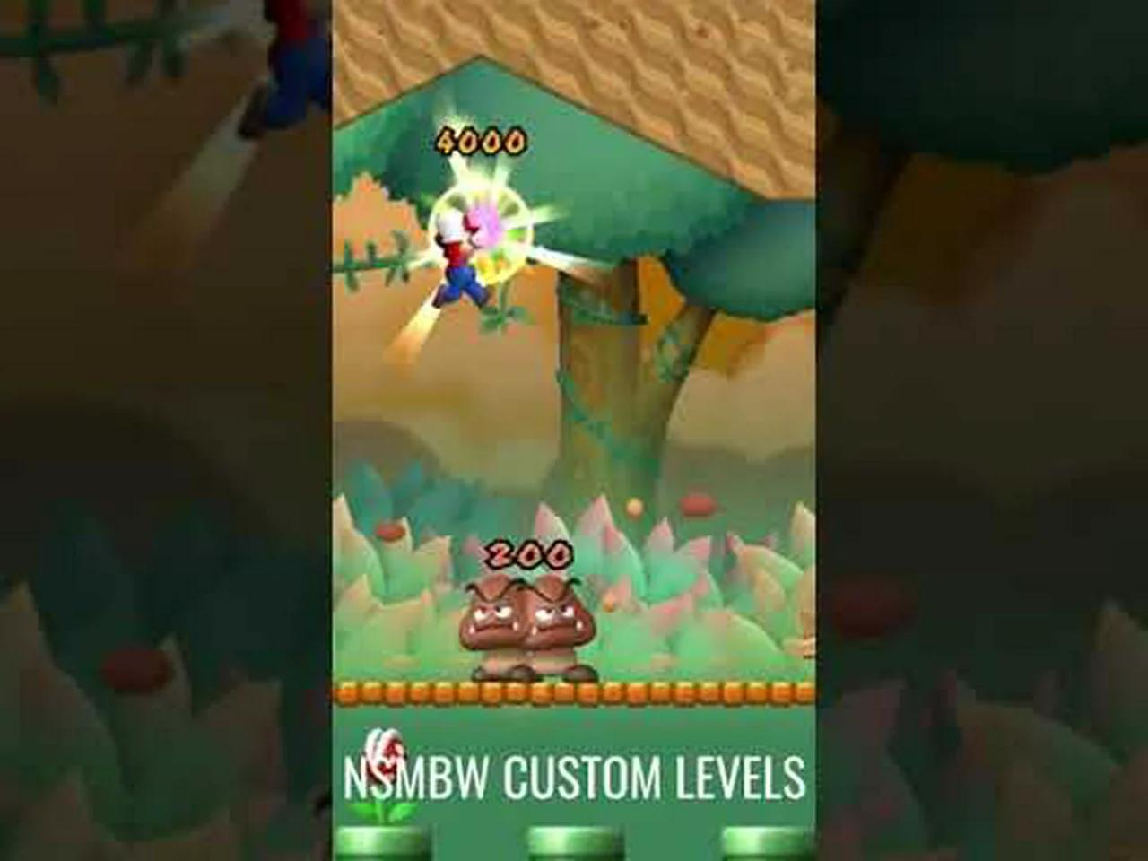 NSMBW Custom Levels