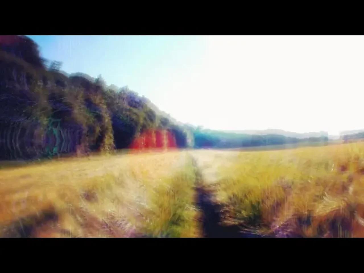 Magic/psilocybin mushroom trip simulation part 4 (mushroom entity)