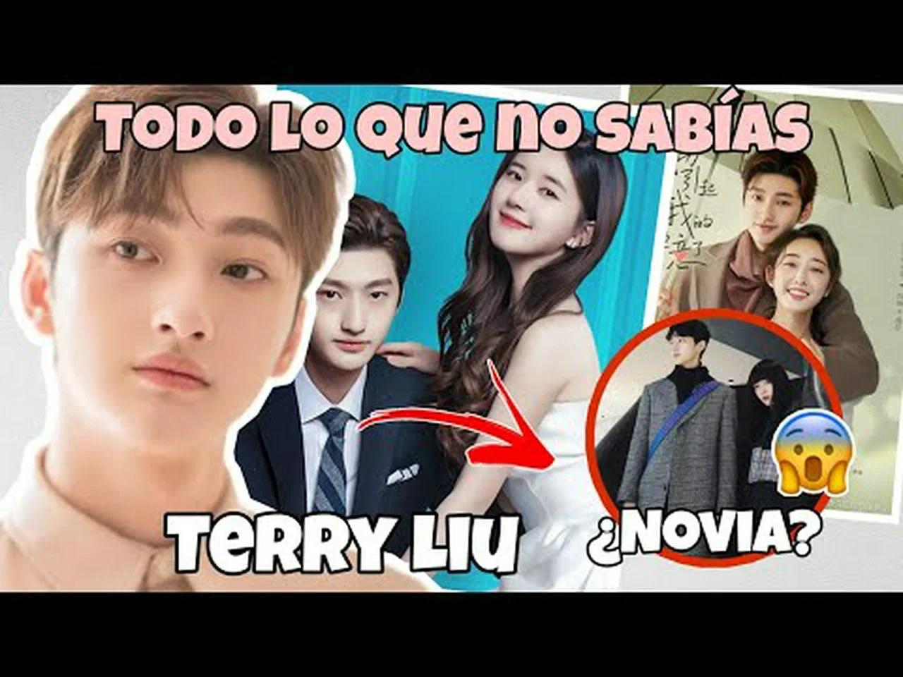 Terry Liu (Liu Te) de Accidentalmente encontré el amor, Todo lo que no ...