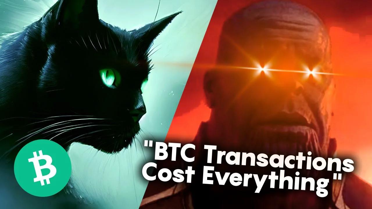 The TRUE Cost of BTC | CYPHER CAT