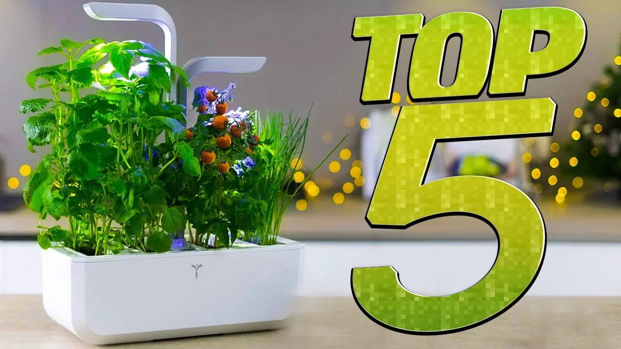 5 Best Indoor Smart Garden Systems and Smart Planters 2021
