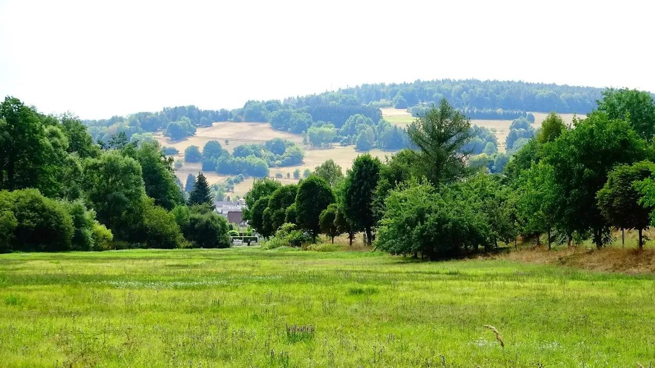 Feuchtwiesen bei Frammersbach (4k)