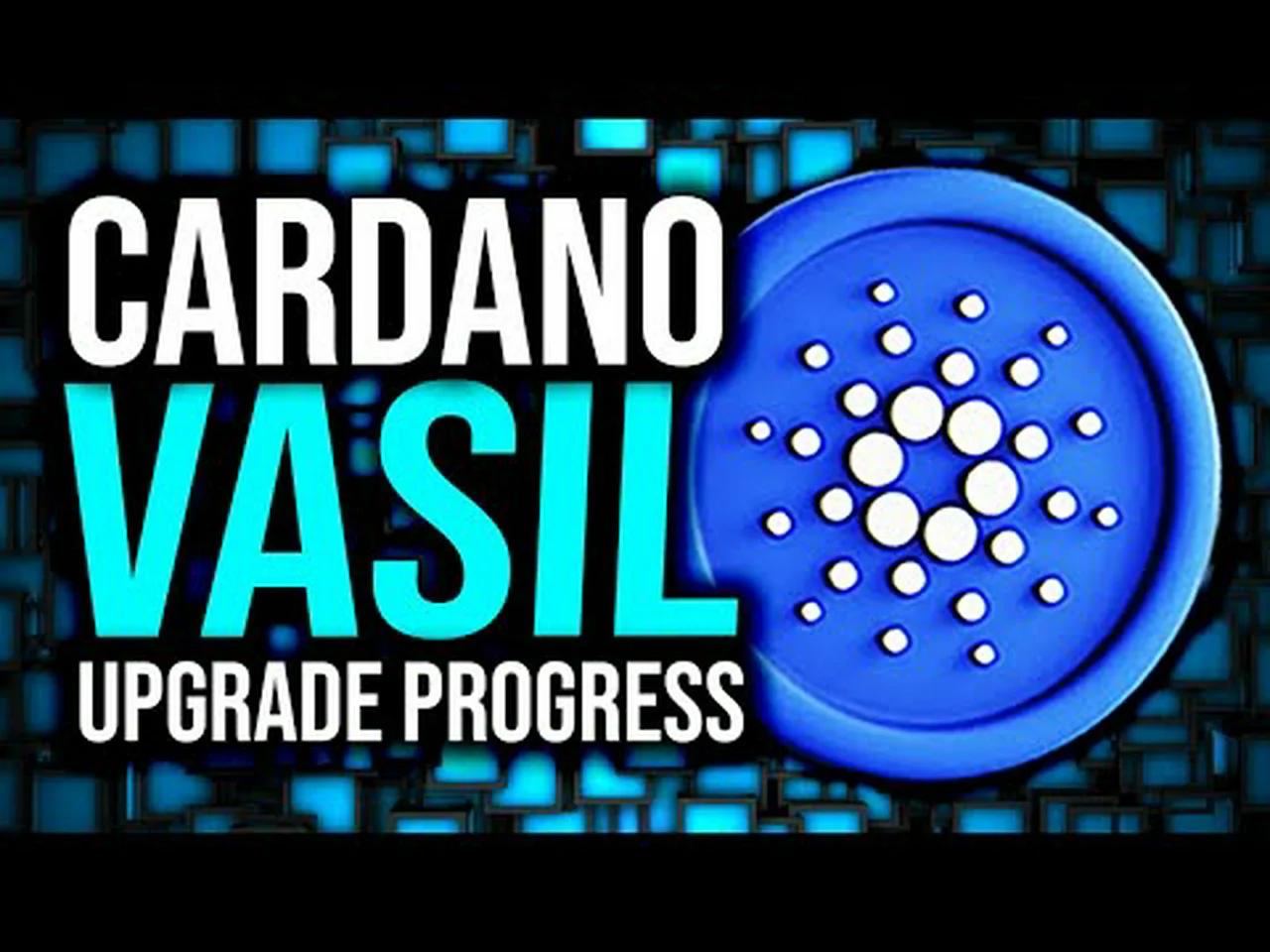 CARDANO VASIL UPGRADE PROGRESS!! CARDANO VASIL UPGRADE PROGRESS!!
