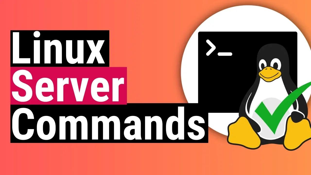 Most Useful Linux / Server Commands for Beginners
