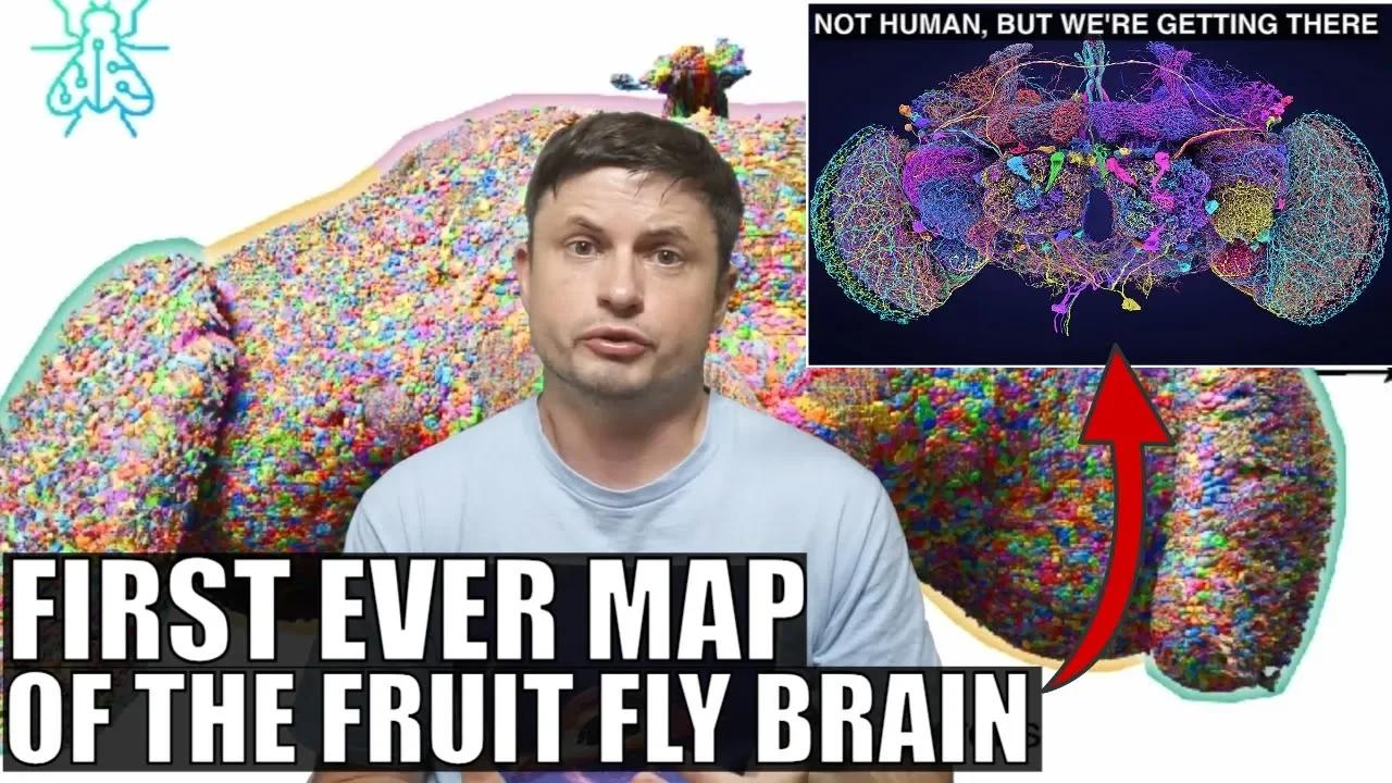 Wow! Largest Brain Map Ever Made, Showing Every Neuron and Connection