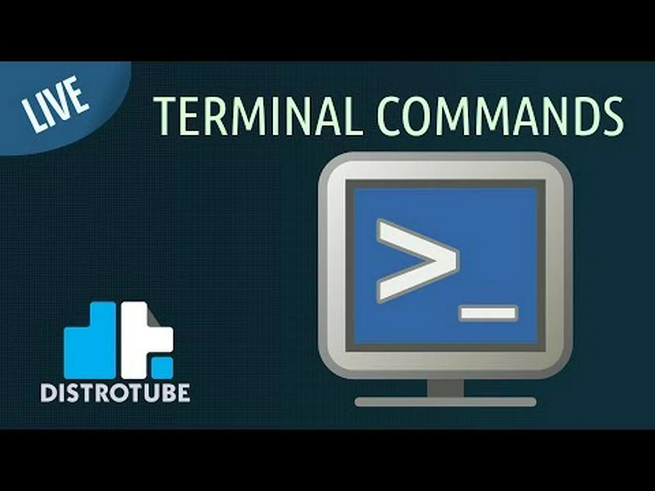 Leave the GUI Behind With These Basic Terminal Commands - DT LIVE