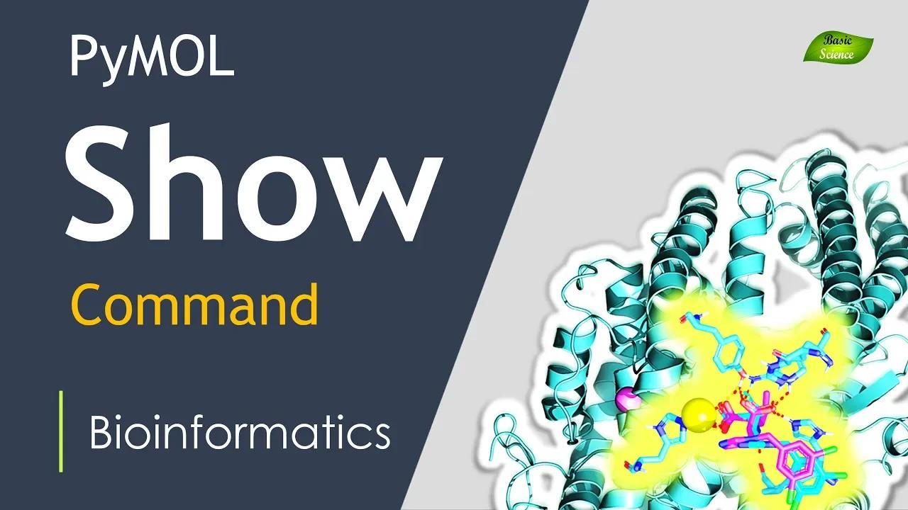 Show Command Pymol Tutorial Molecule Visualization Bioinformatics