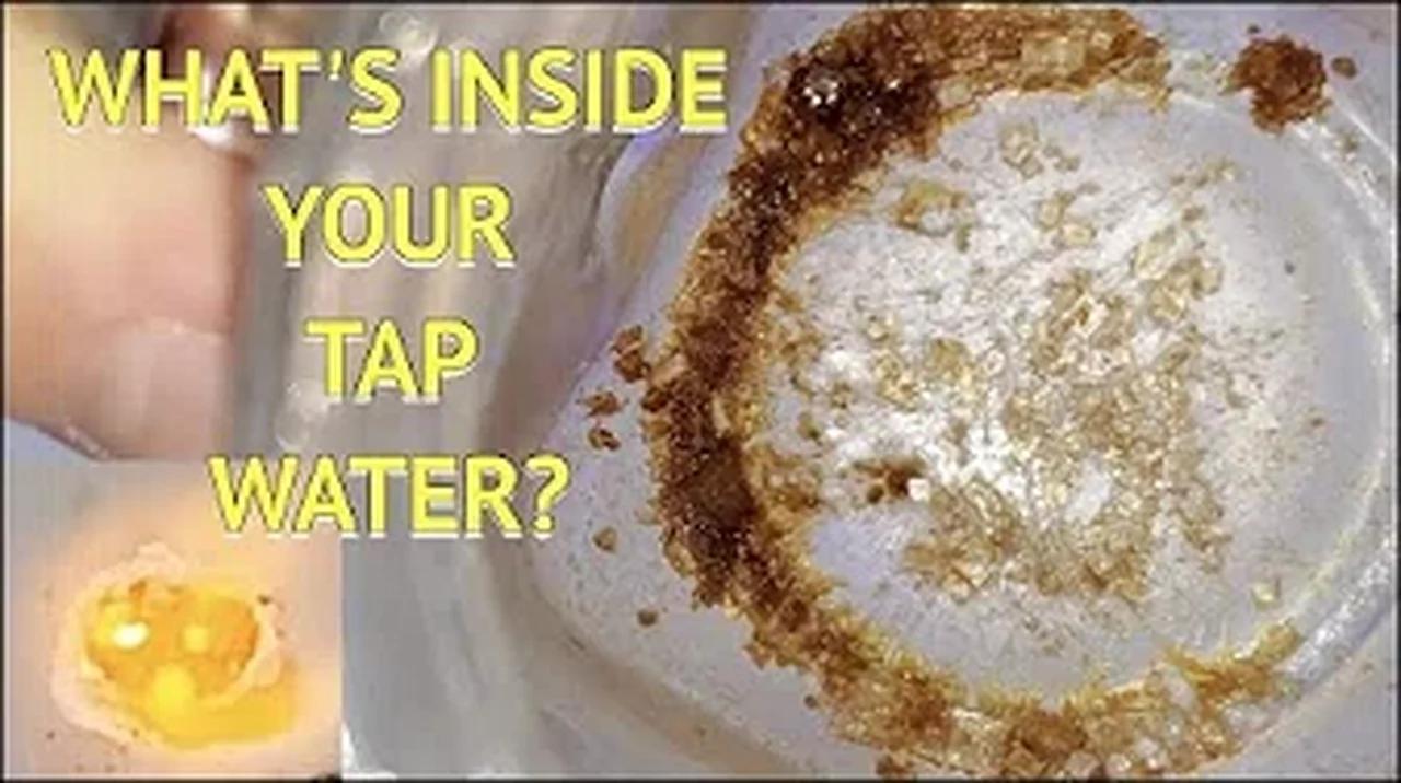 WHAT'S INSIDE YOUR TAP WATER? and why I DISTILL MY OWN WATER