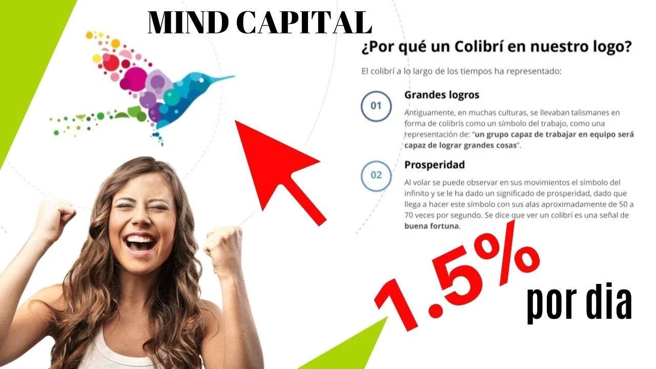 mind capital como funciona