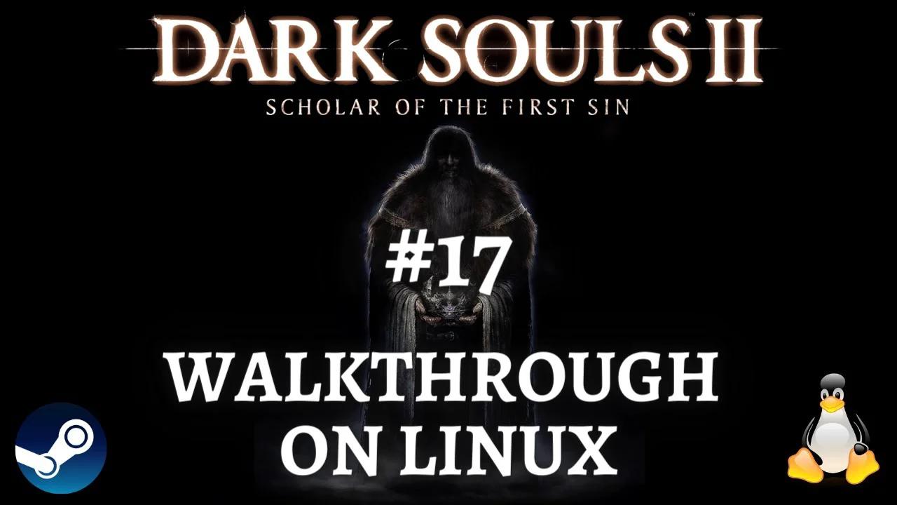 Dark Souls II Scholar of the First Sin Walkthrough On Linux Part 17 Shrine of Amana & Demon of Song