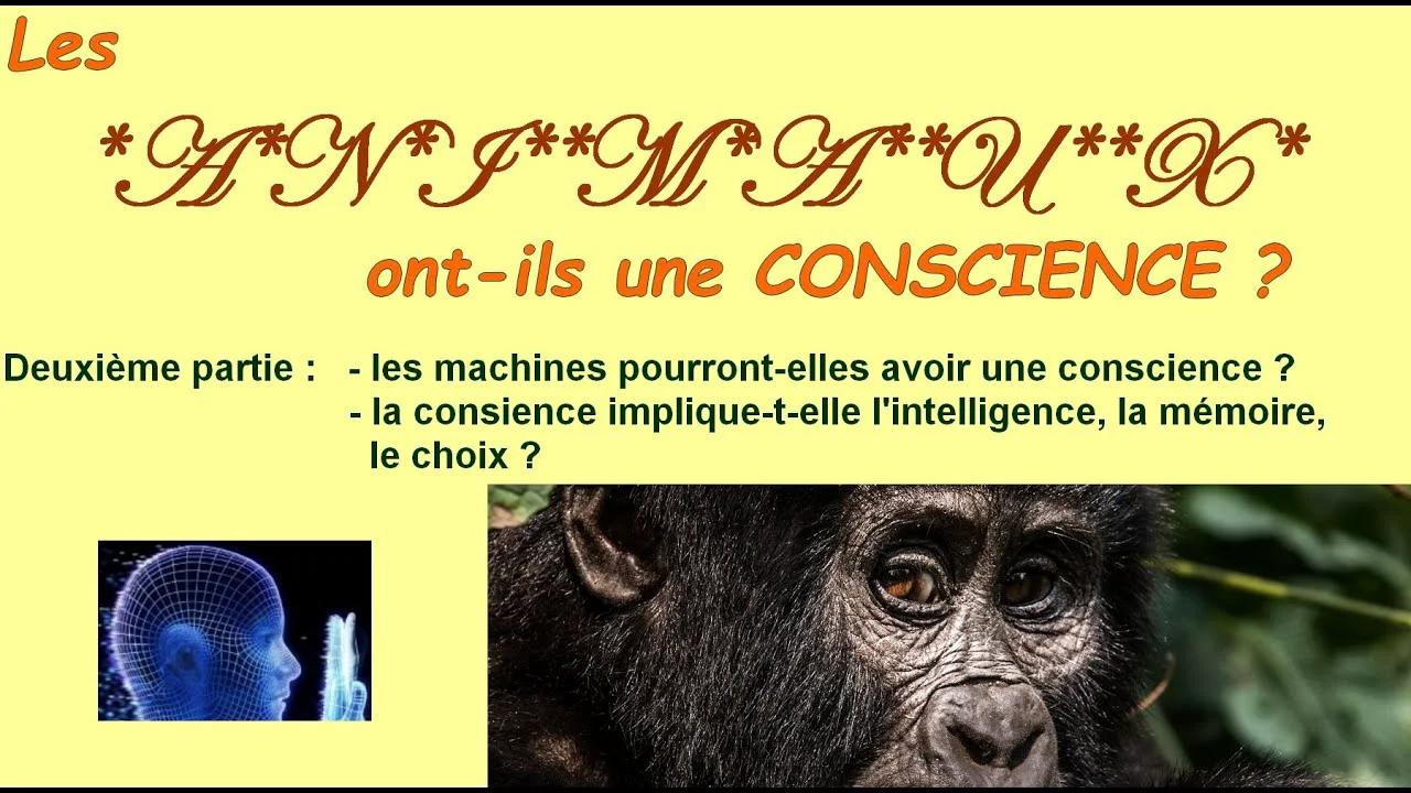 Les animaux ont-ils une conscience ? Partie 2 : choix, mémoire et ...