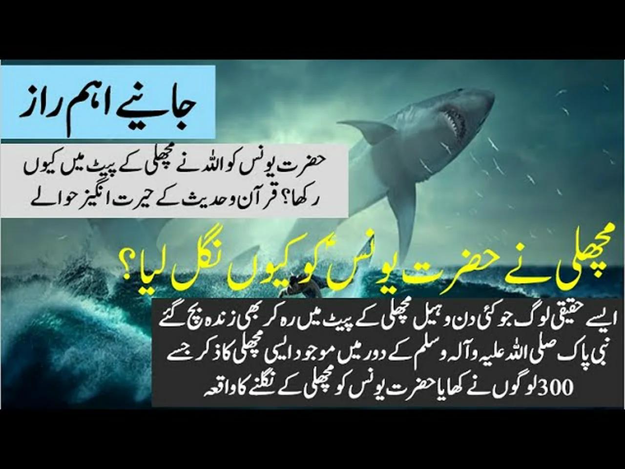 Hazrat Yunus Aur Machli Ka Waqia | Moral Stories In Urdu & Hindi l Sabaq Amoz Kahani