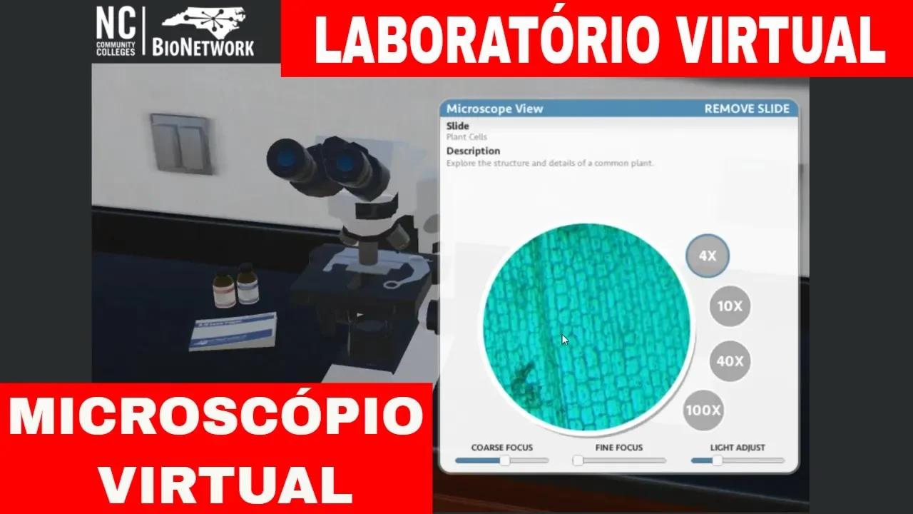Laboratório virtual de microscopia - Microscópio VIRTUAL