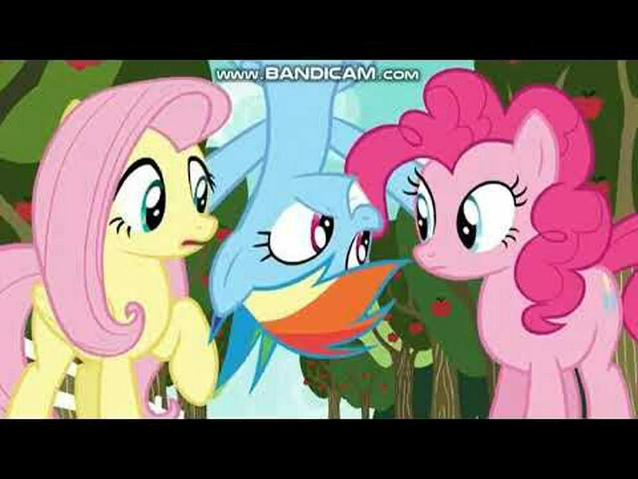 Discovery Family Commercial Break (November 6, 2023)