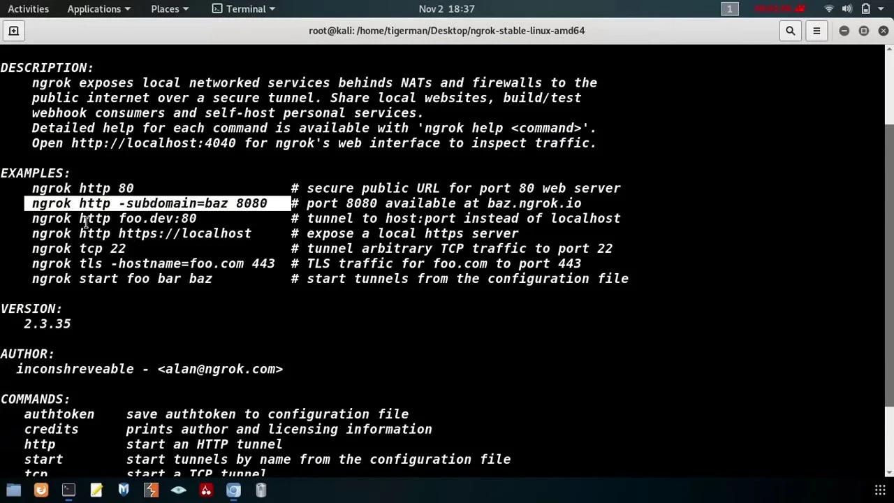How to install Ngrok on Kali Linux