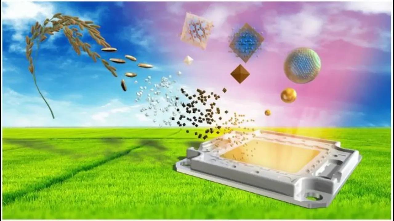 World’s first LED lights developed from rice husks