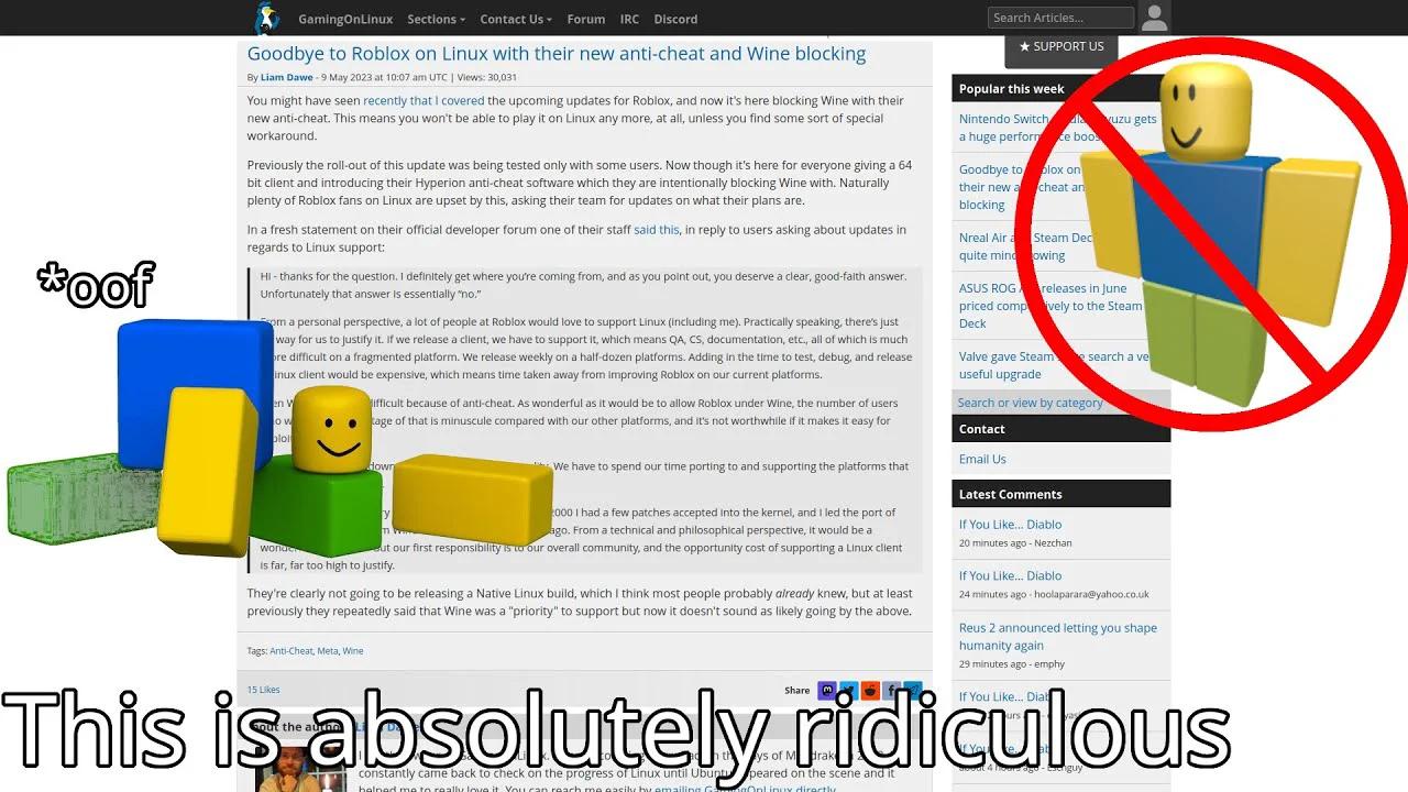 The Situation with Roblox is ridiculous