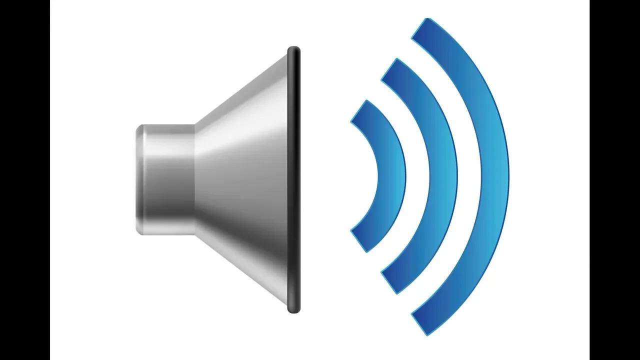 Goose Eating Bread - Sound Effect (For Video Youtube Editing)