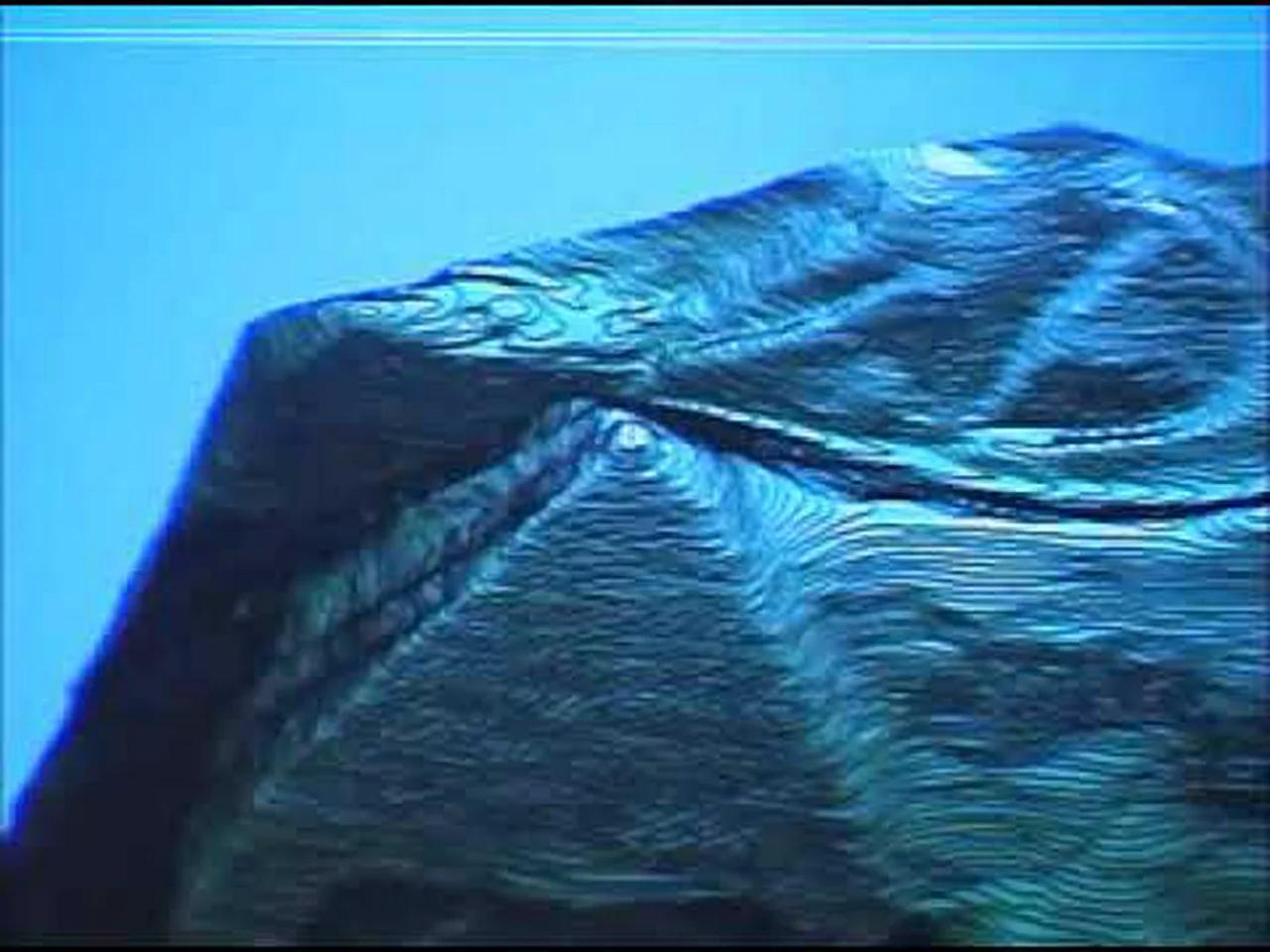 Semir Sam Osmanagich - BOSNIAN PYRAMID - Visocica Hill