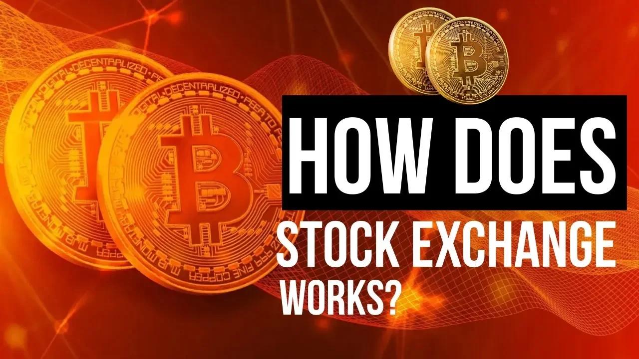 How does Stock Exchanges Work