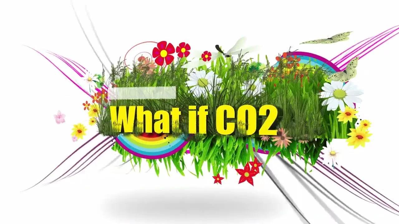 What if CO2 is Good for You?
