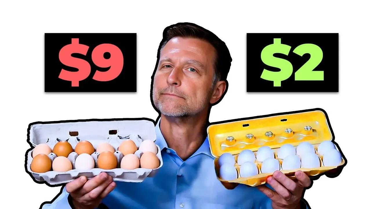 Are Expensive Eggs Really Worth It