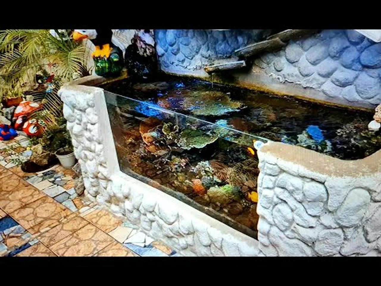 BRASIL REEF TANK / 2000 LITROS / "Natural Reef" Coral aquascape ...