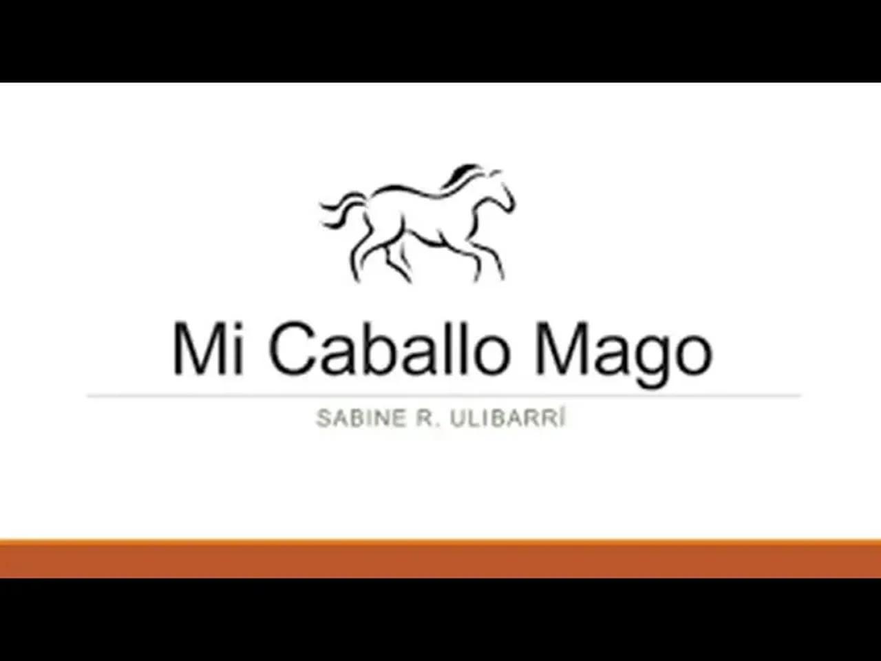 Resumen del libro Mi caballo mago (Sabine R. Ulibarri)